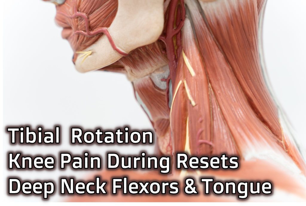 Tibial Rotation, Knee Pain During Resets, Deep Neck Flexors and Tongue ...