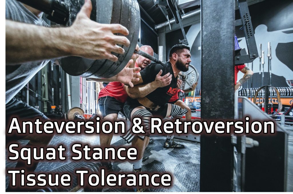 Anteversion, Retroversion, Squat Stance, and Tissue Tolerance ...