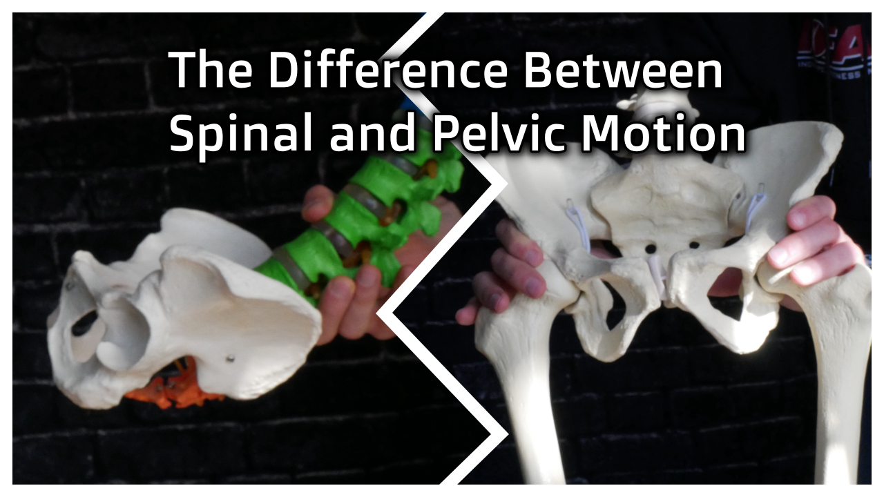 The Difference Between Spinal and Pelvic Motion – ZacCupples.com