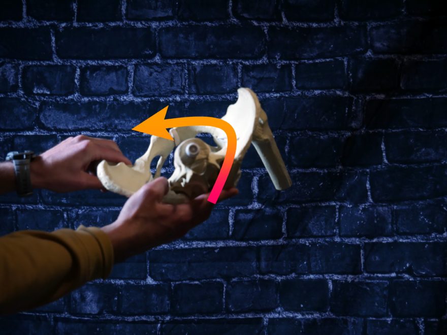 Pelvic Gait Mechanics – ZacCupples.com