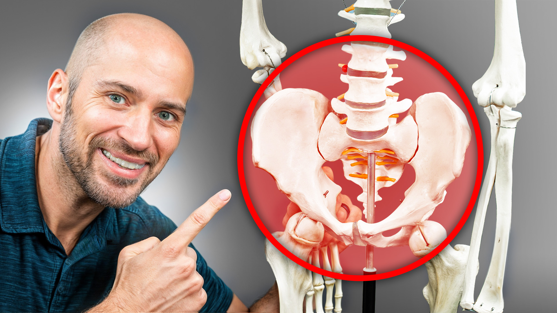 The Last Pelvis Post You’ll Ever Need – ZacCupples.com